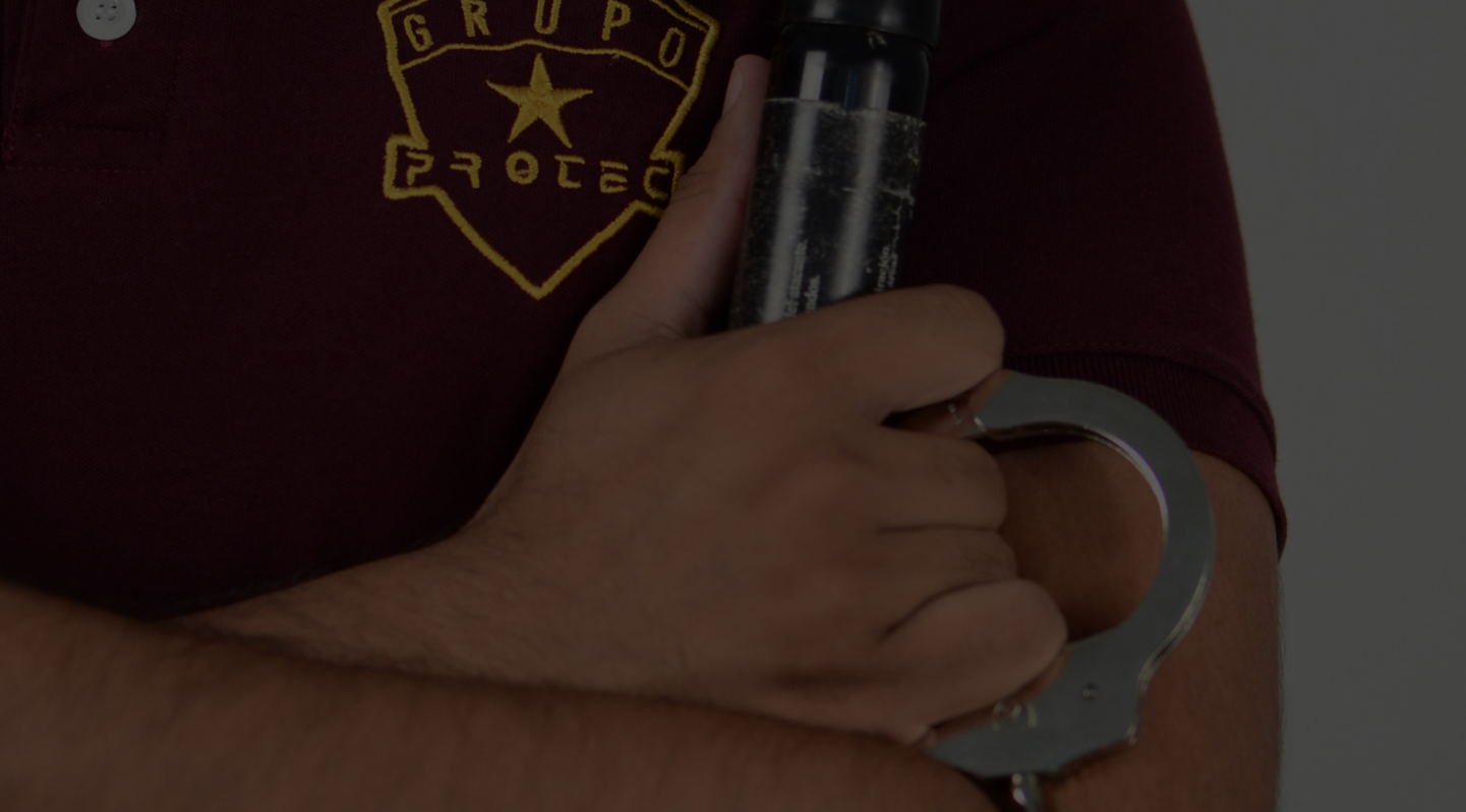 Nosotros-GP – Grupo PROTEC